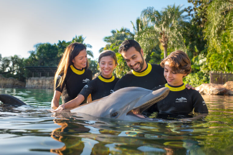 2025 SeaWorld Orlando Theme Park Ticket Deals - The Park Prodigy