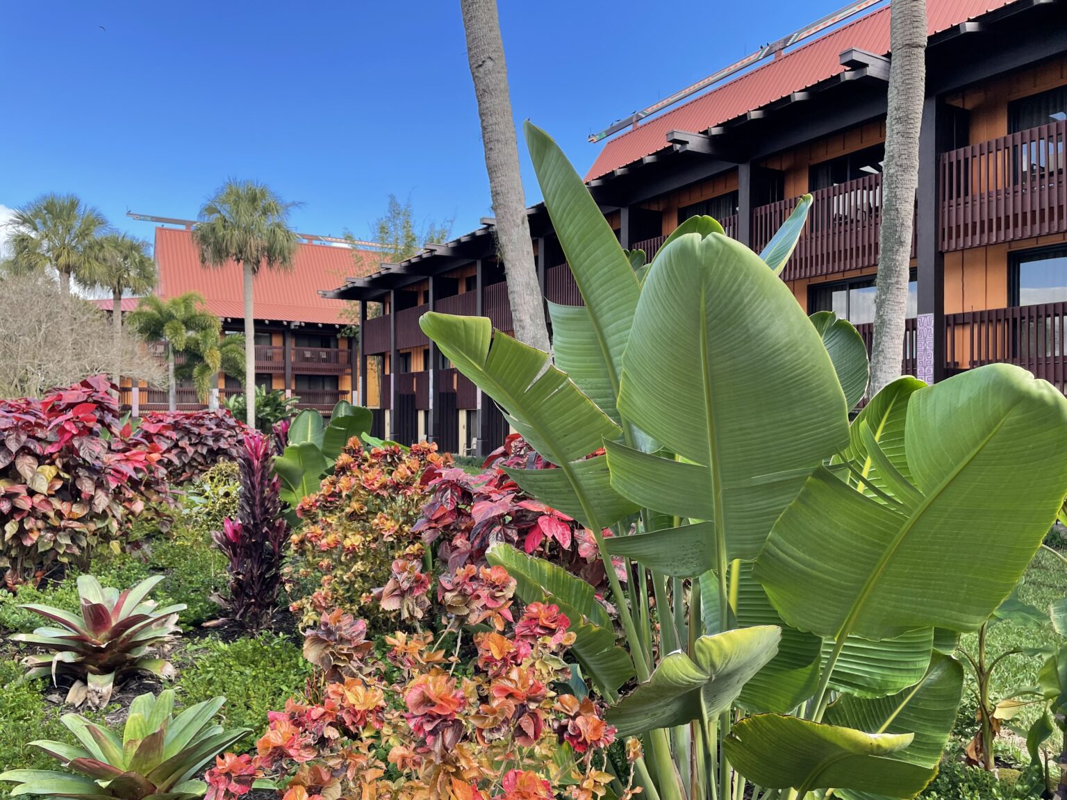 Complete Disney World Resort List 2023 Disney Resorts List Value complete-disney-world-resort-list-2023-disney-resorts-list-value